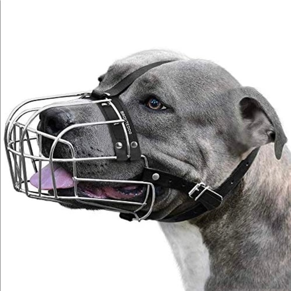 Dog | Dog Muzzle | Poshmark